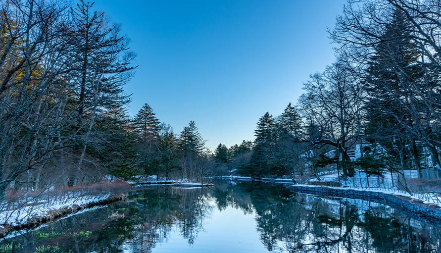 Overview | FUFU Kyu-Karuizawa, Restful Forest [Official]